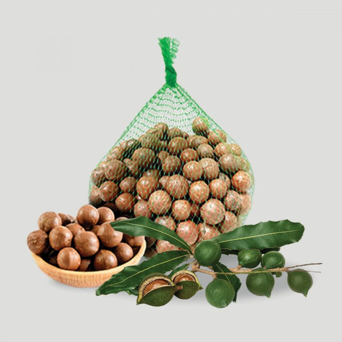 Nut In Shell Bag (1kg)